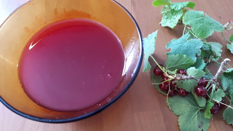 Coulis de groseilles – Oh, la gourmande