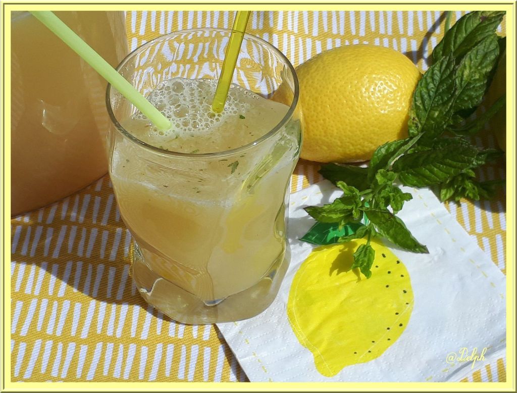 Citronnade à la menthe – Oh, la gourmande